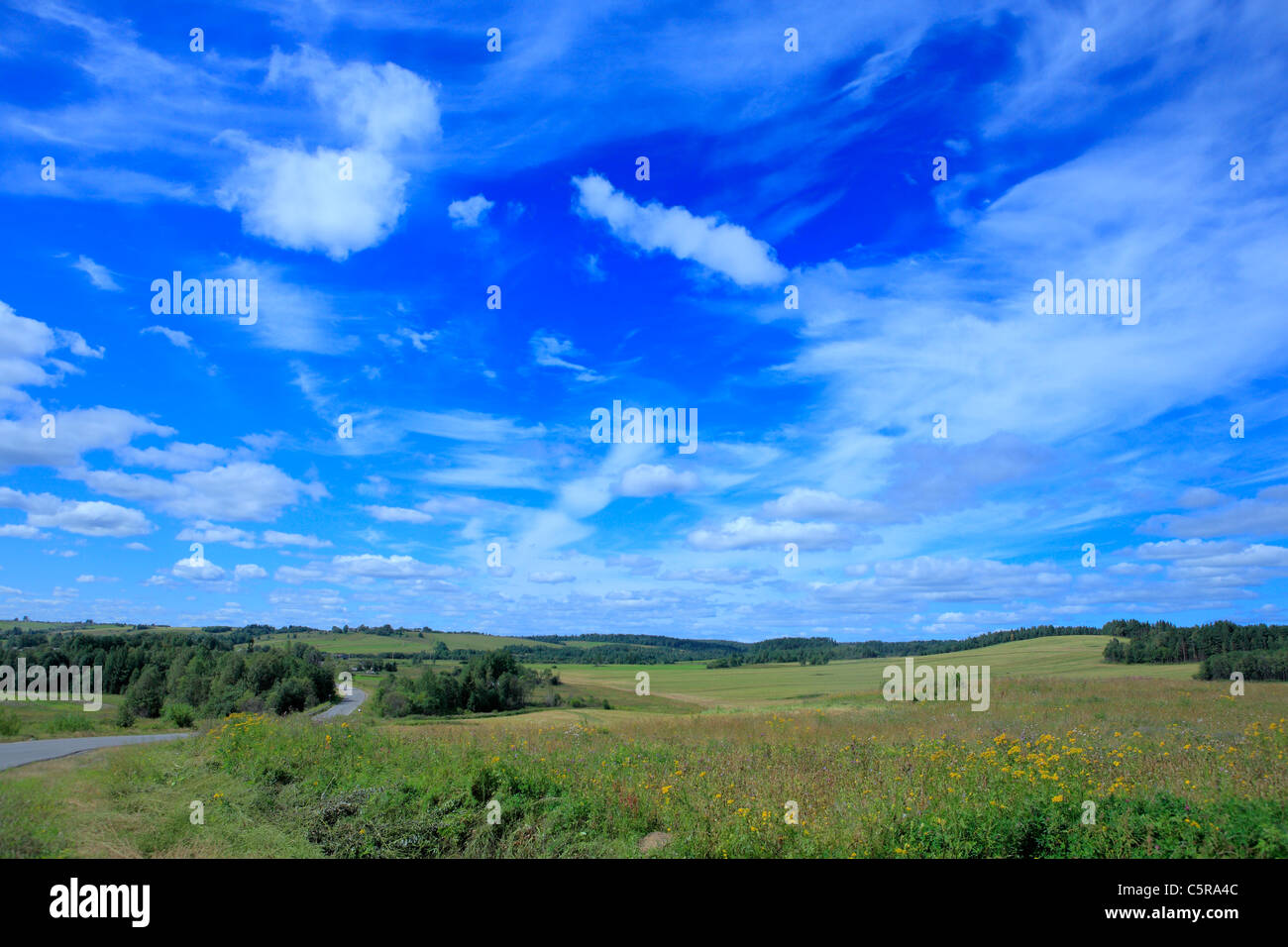 Archangelsk archangelsk region hi-res stock photography and images - Alamy