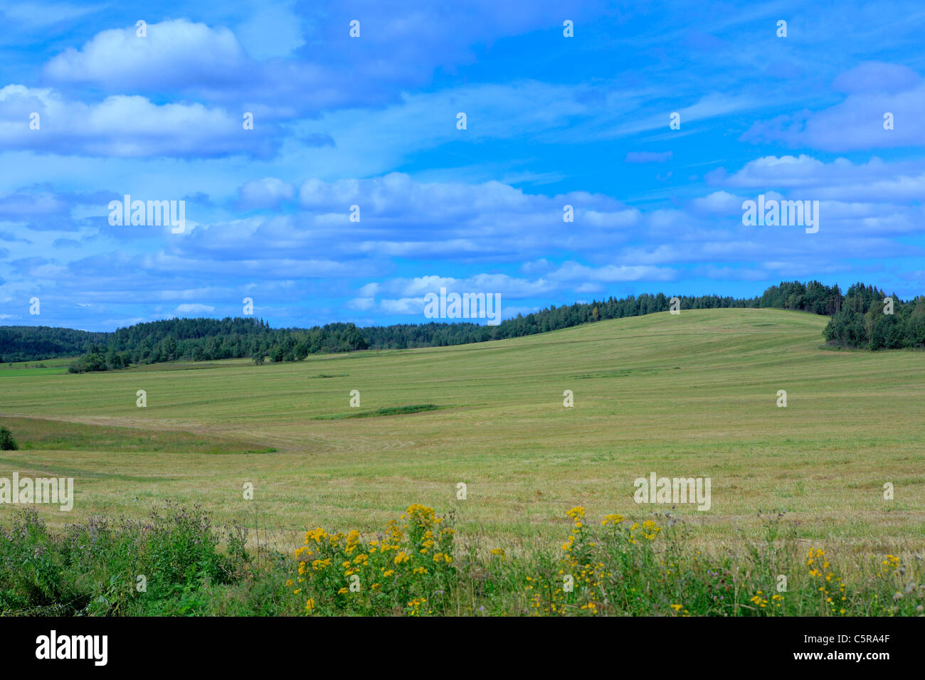 Pezhma, Archangelsk (Arkhangelsk) region, Russia Stock Photo - Alamy