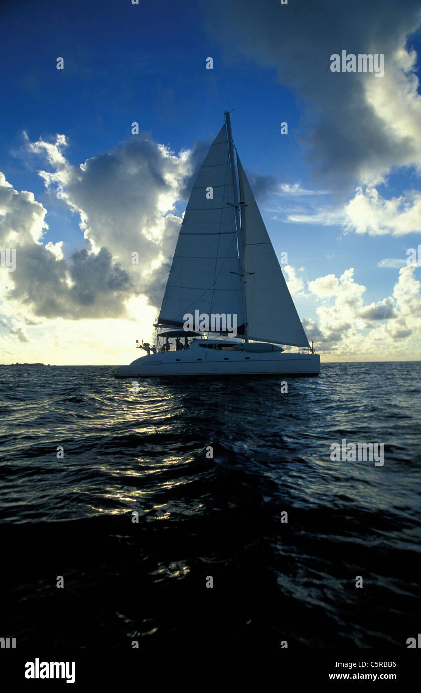 Sailboat on sea Stock Photo - Alamy