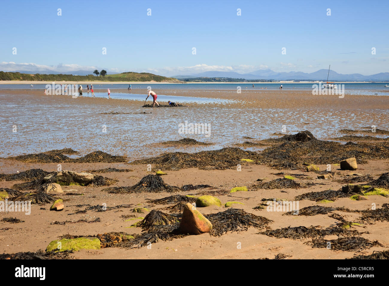 Llanbedrog llyn peninsula resort hi-res stock photography and images ...