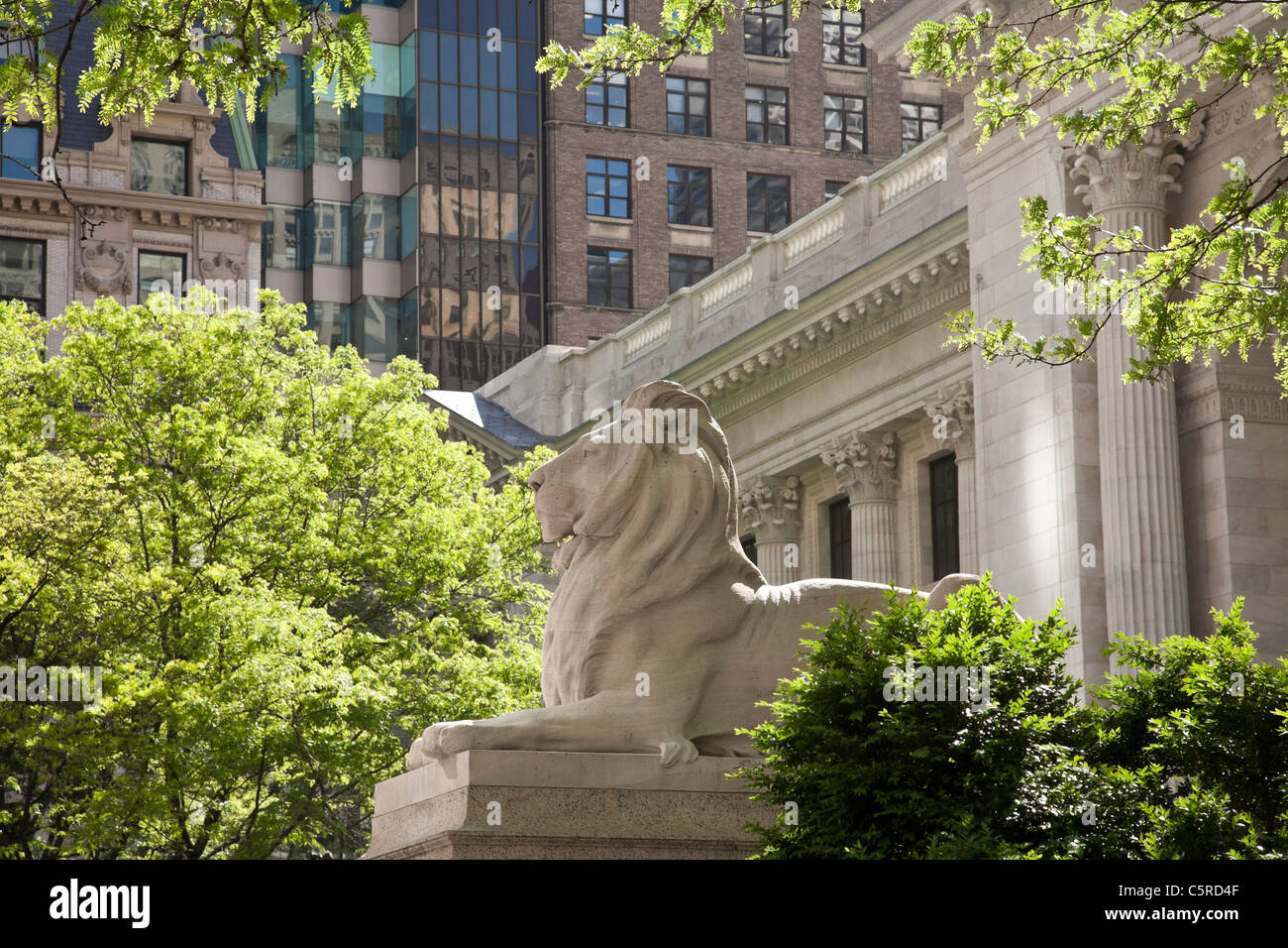 Lion sculpture outside new york city public library hi-res stock ...