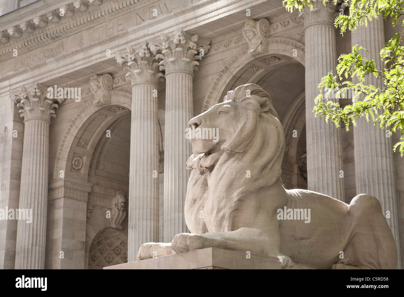 New york public library lion hi-res stock photography and images - Alamy