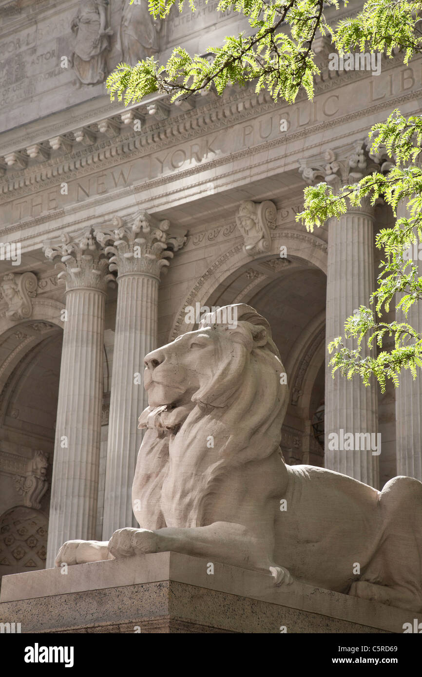 Lion Statue, New York Public Library, Main Branch, NYC Stock Photo - Alamy