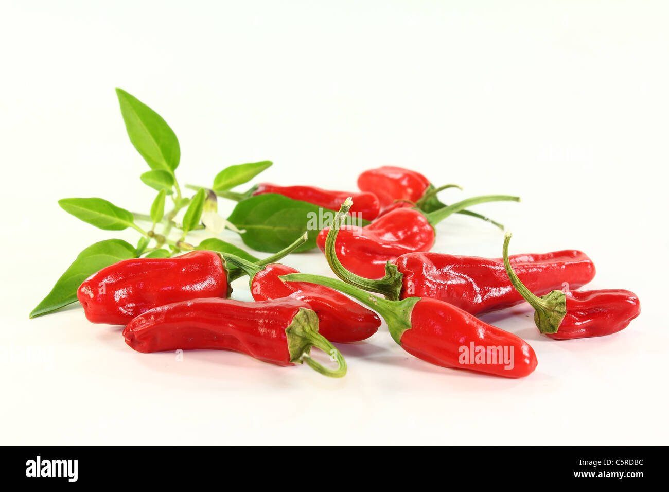 Spice red Cut Out Stock Images & Pictures - Alamy