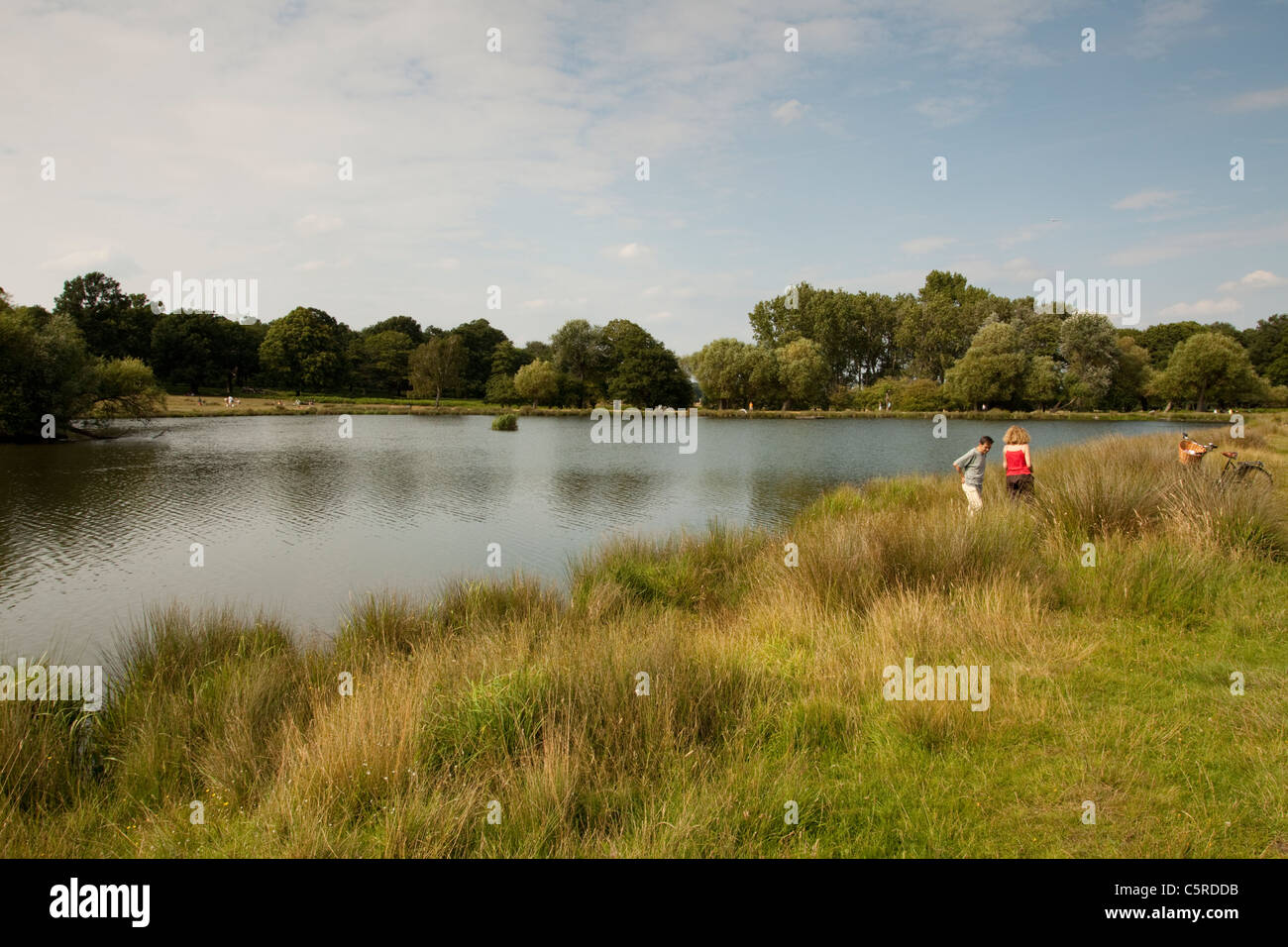 Richmond park pond/lake, Surrey, England, UK Stock Photo - Alamy
