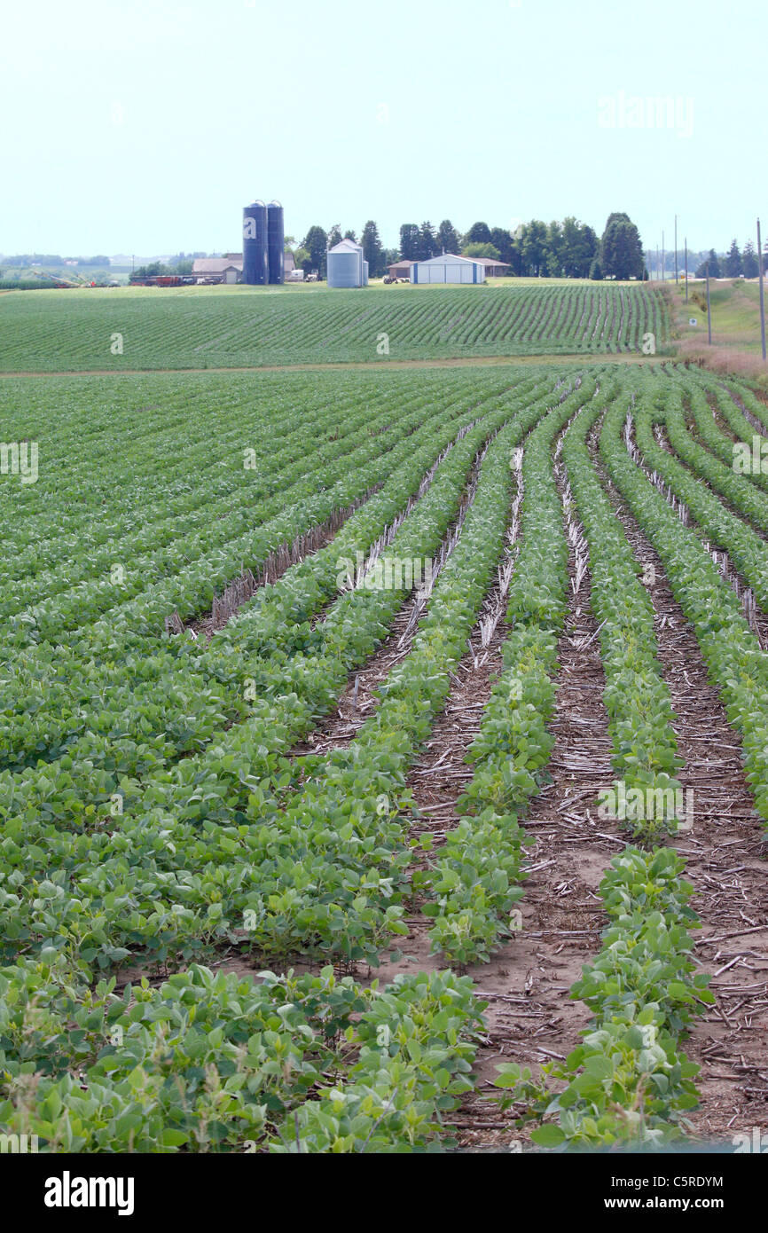 No till farming hi-res stock photography and images - Alamy