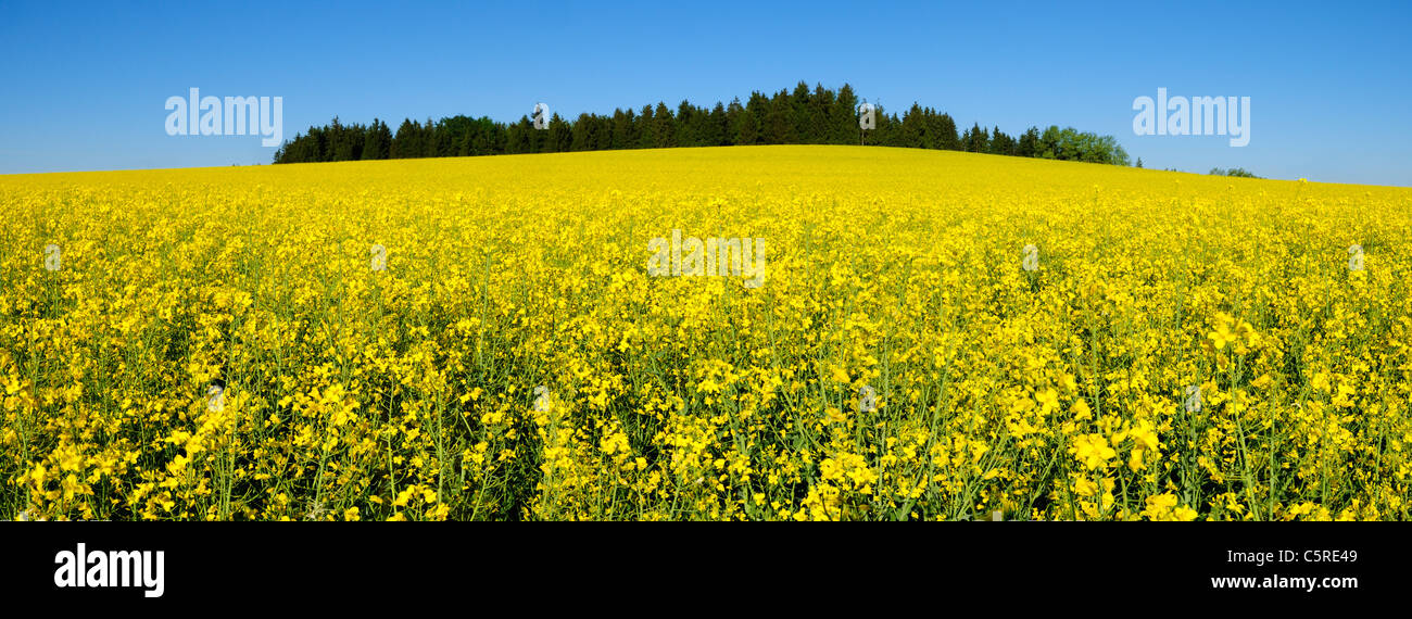 Europe, Germany, Upper Bavaria, Geretsried, Schwaigwall, View of large ...