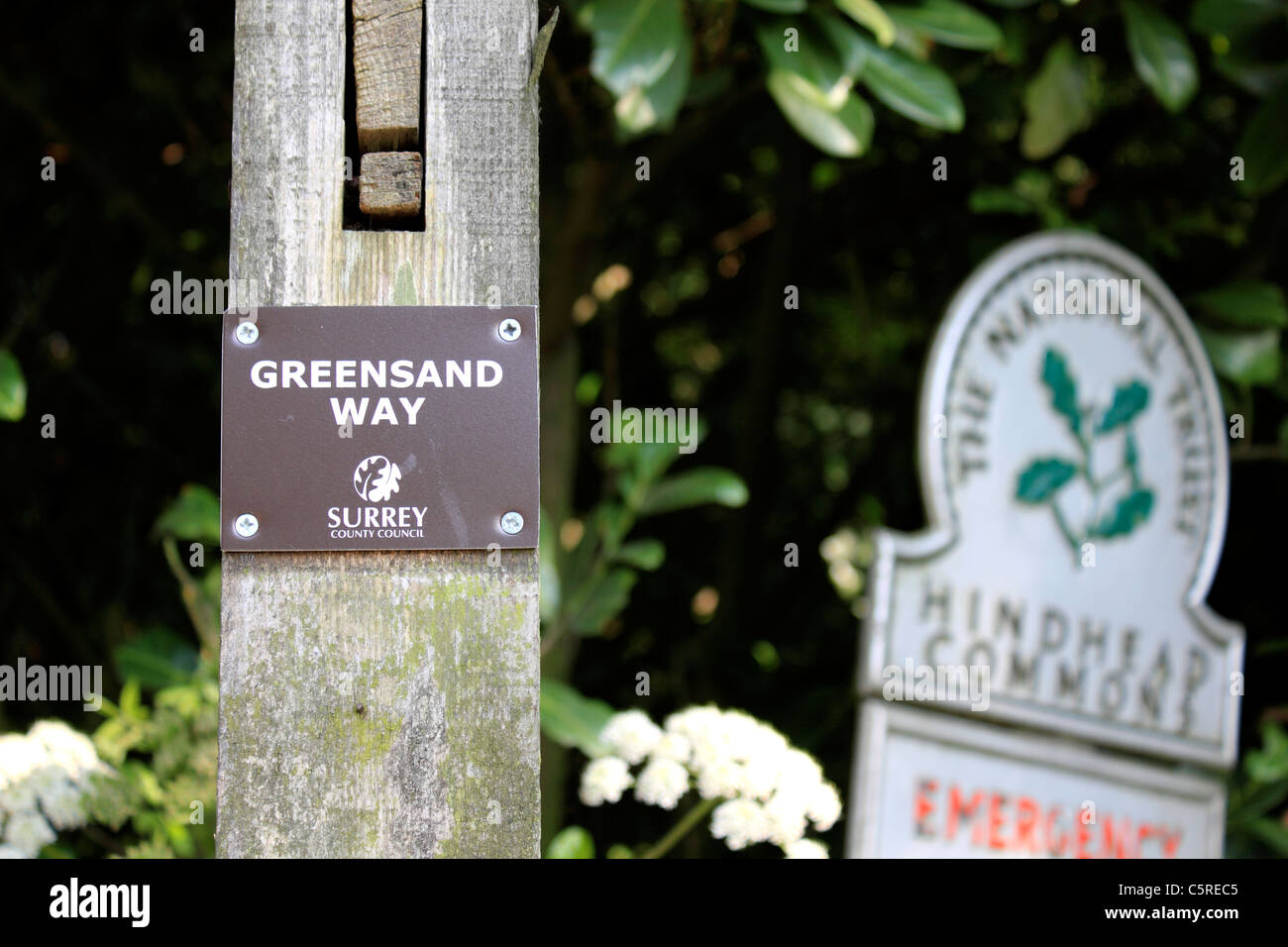 Greensand hi-res stock photography and images - Alamy