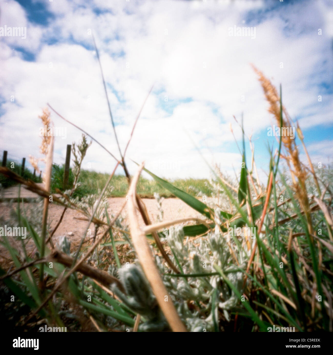 Pinhole camera hi-res stock photography and images - Alamy