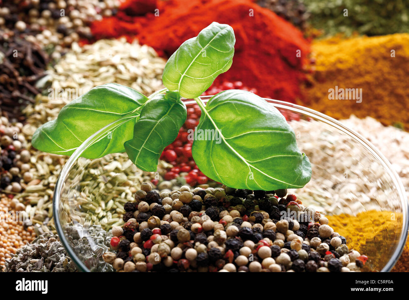 A selection of spices, close-up Stock Photo - Alamy