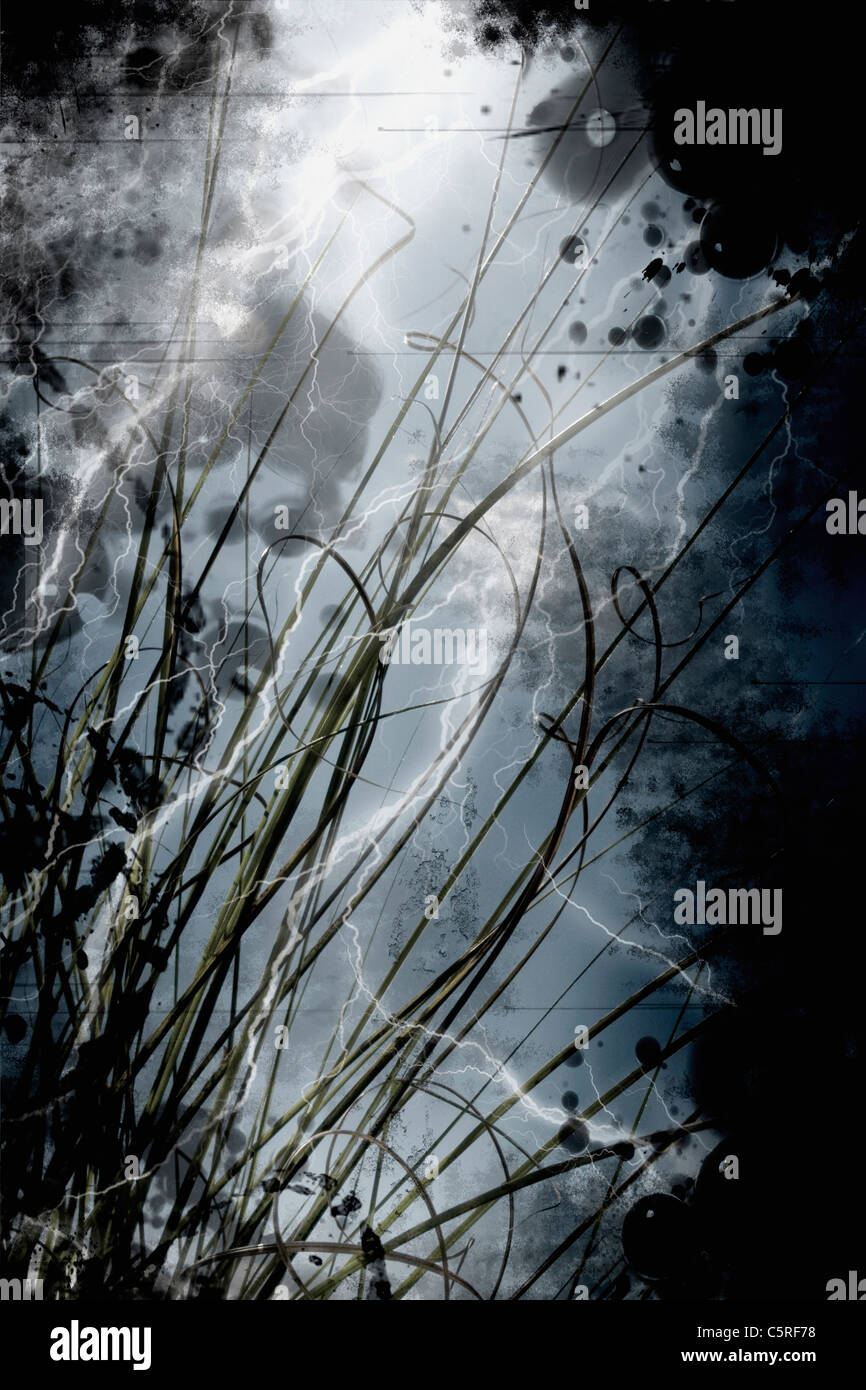 Grass and lightning Stock Photo - Alamy
