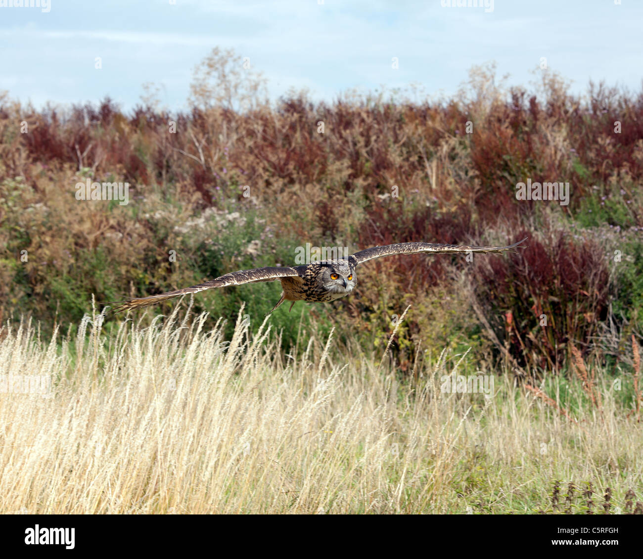 Glide path hi-res stock photography and images - Alamy