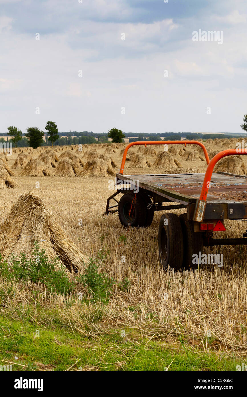 Stooks wheat hi-res stock photography and images - Alamy