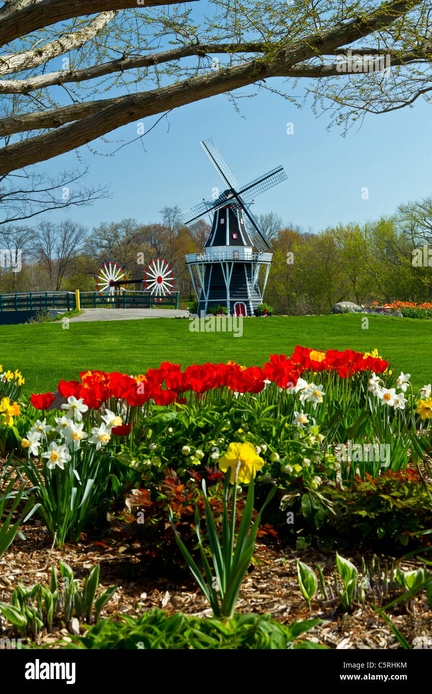 A windmill with spring tulip flowers on Windmill Island in Holland ...
