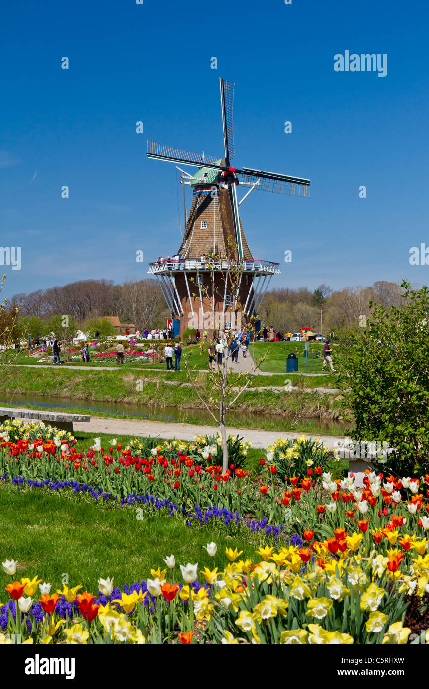 A windmill with spring tulip flowers on Windmill Island in Holland ...