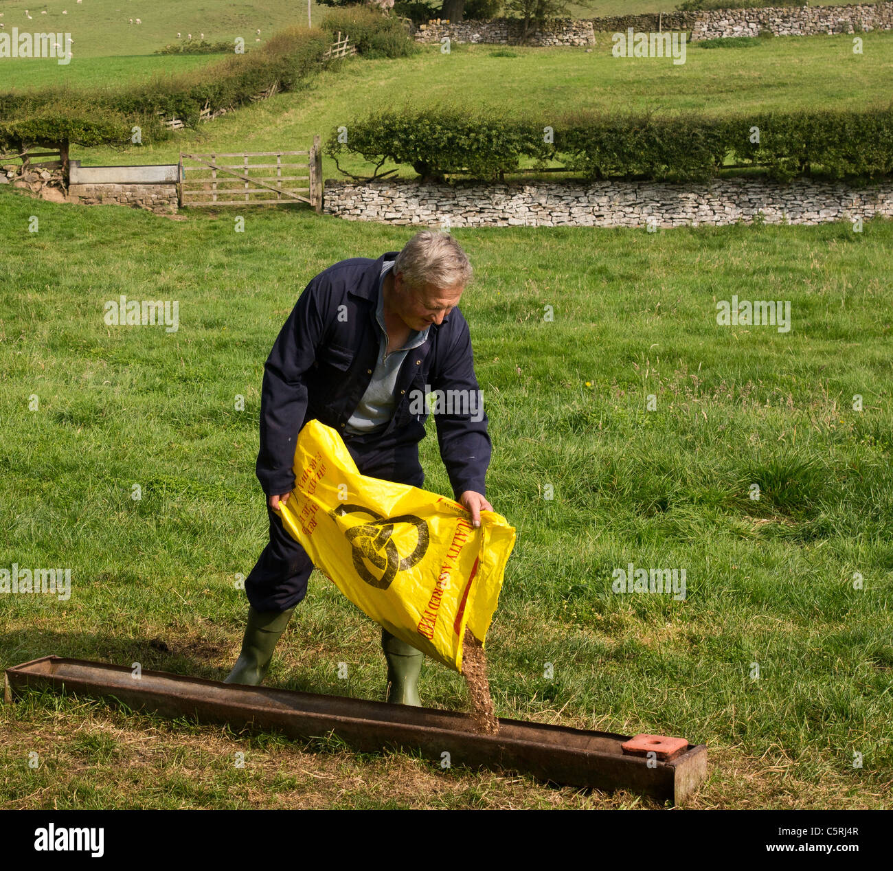 Feeding trough feed troughs hi-res stock photography and images - Alamy