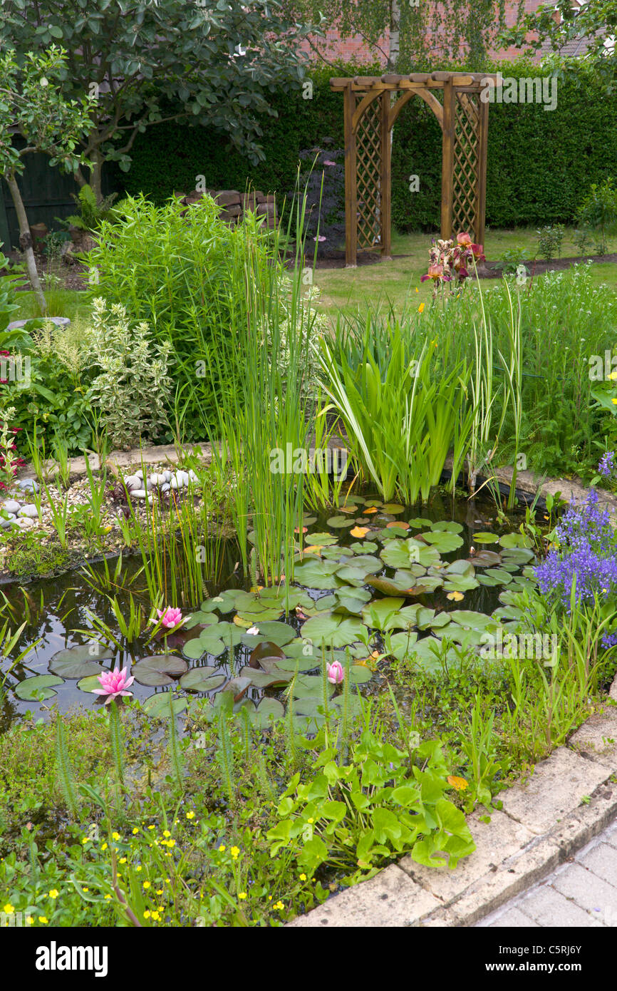 Pond in a back garden, England Stock Photo - Alamy