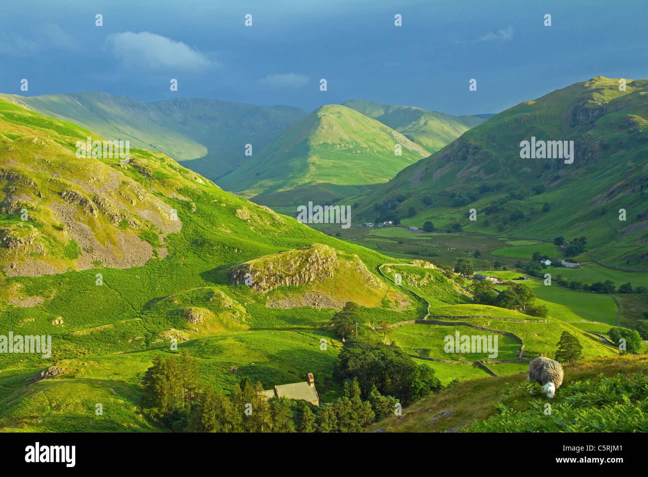 Martindale hi-res stock photography and images - Alamy