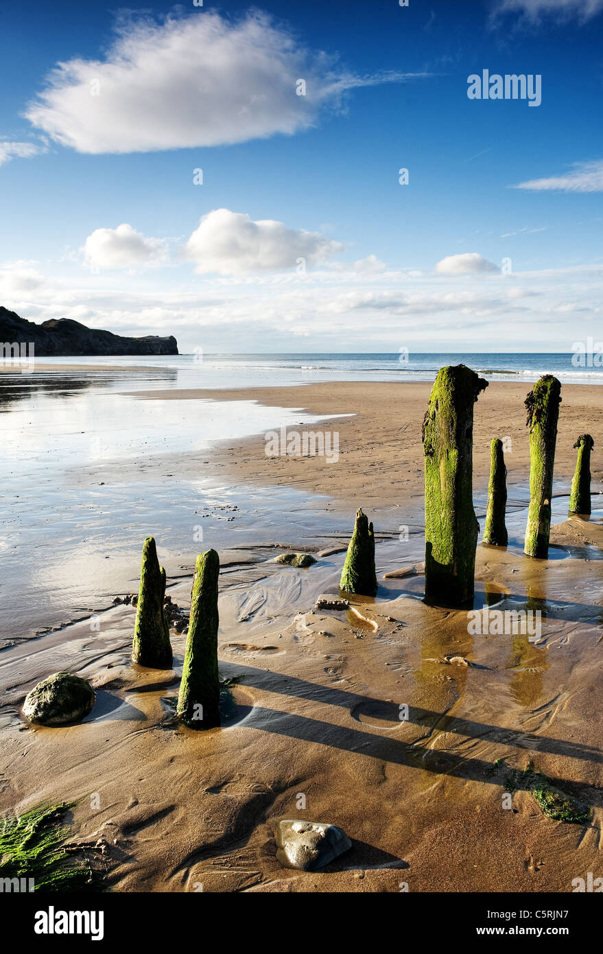 Groynes on the beach at Sandsend near Whitby Stock Photo - Alamy