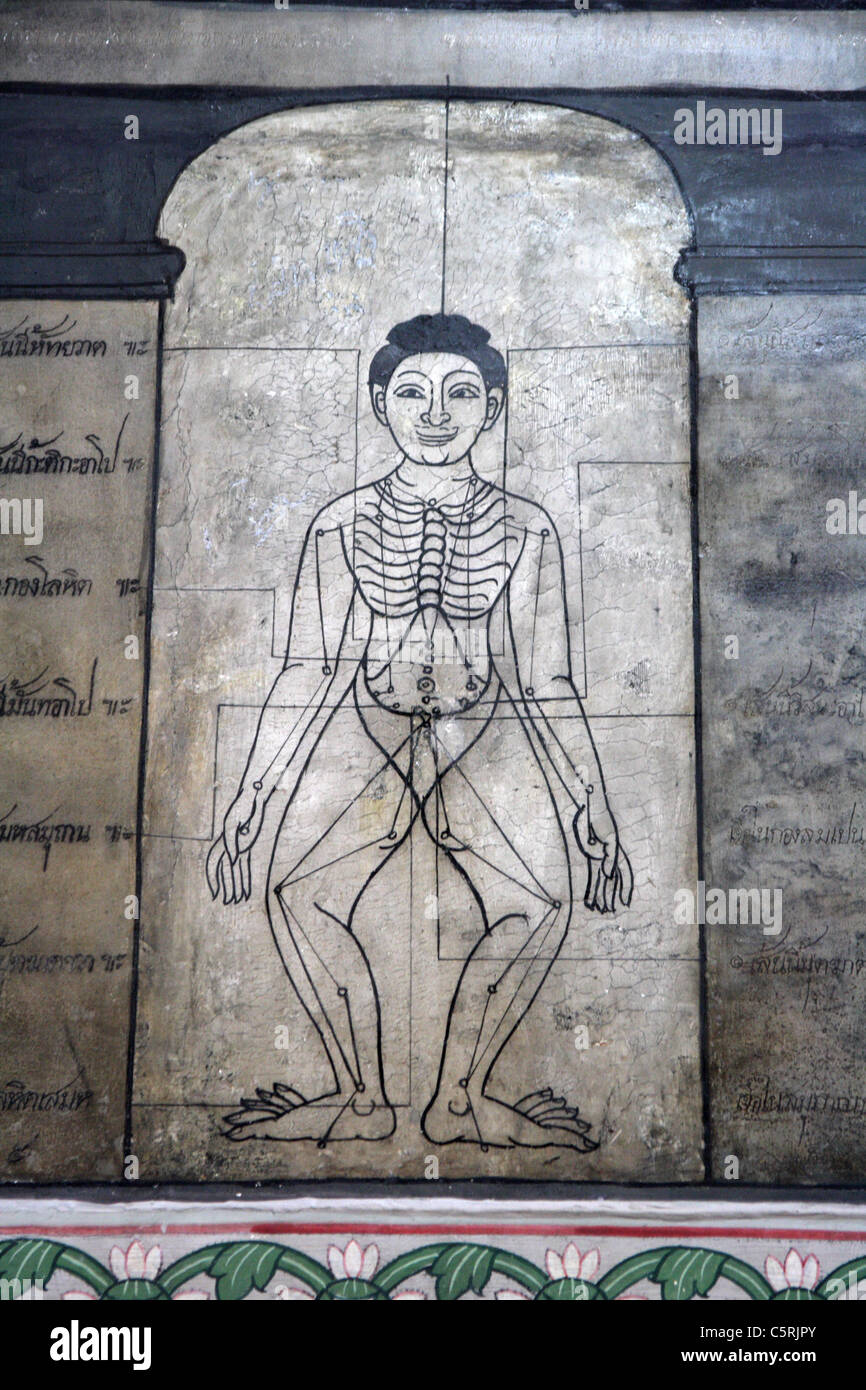 Human po hi-res stock photography and images - Alamy