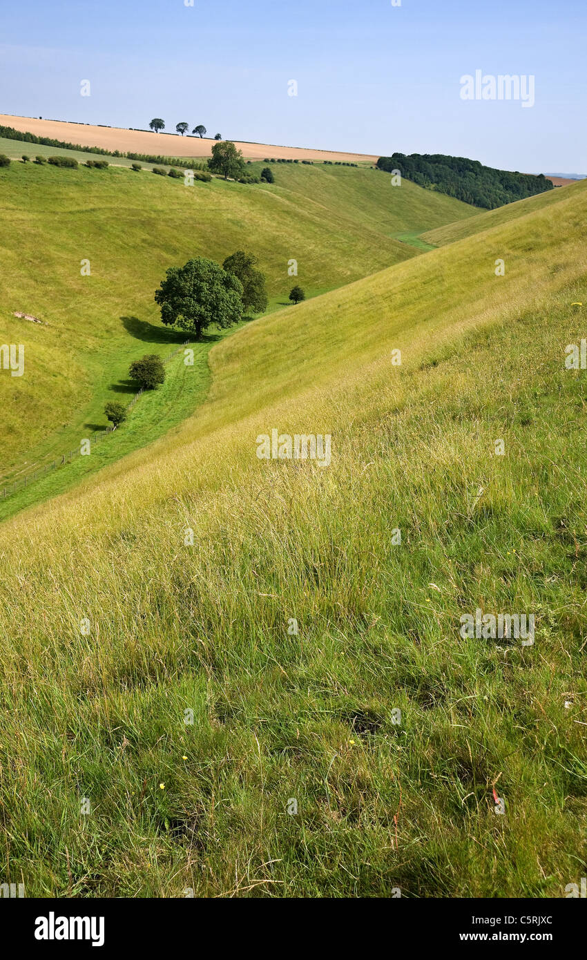 East riding yorkshire hi-res stock photography and images - Alamy