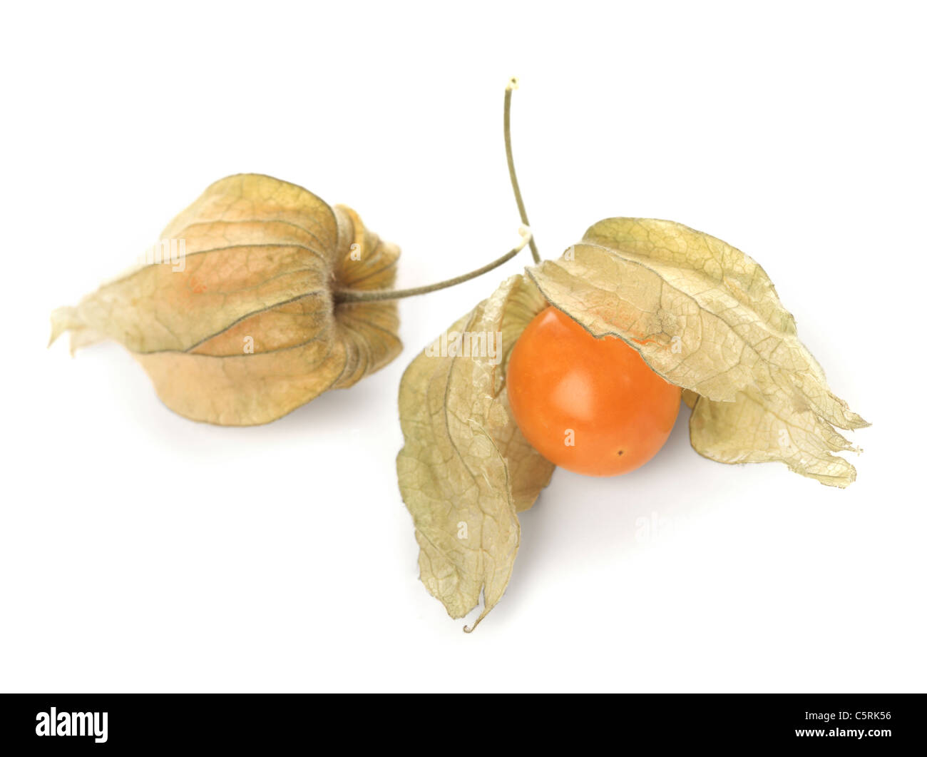 Physalis fruit with husks isolated on white Stock Photo - Alamy