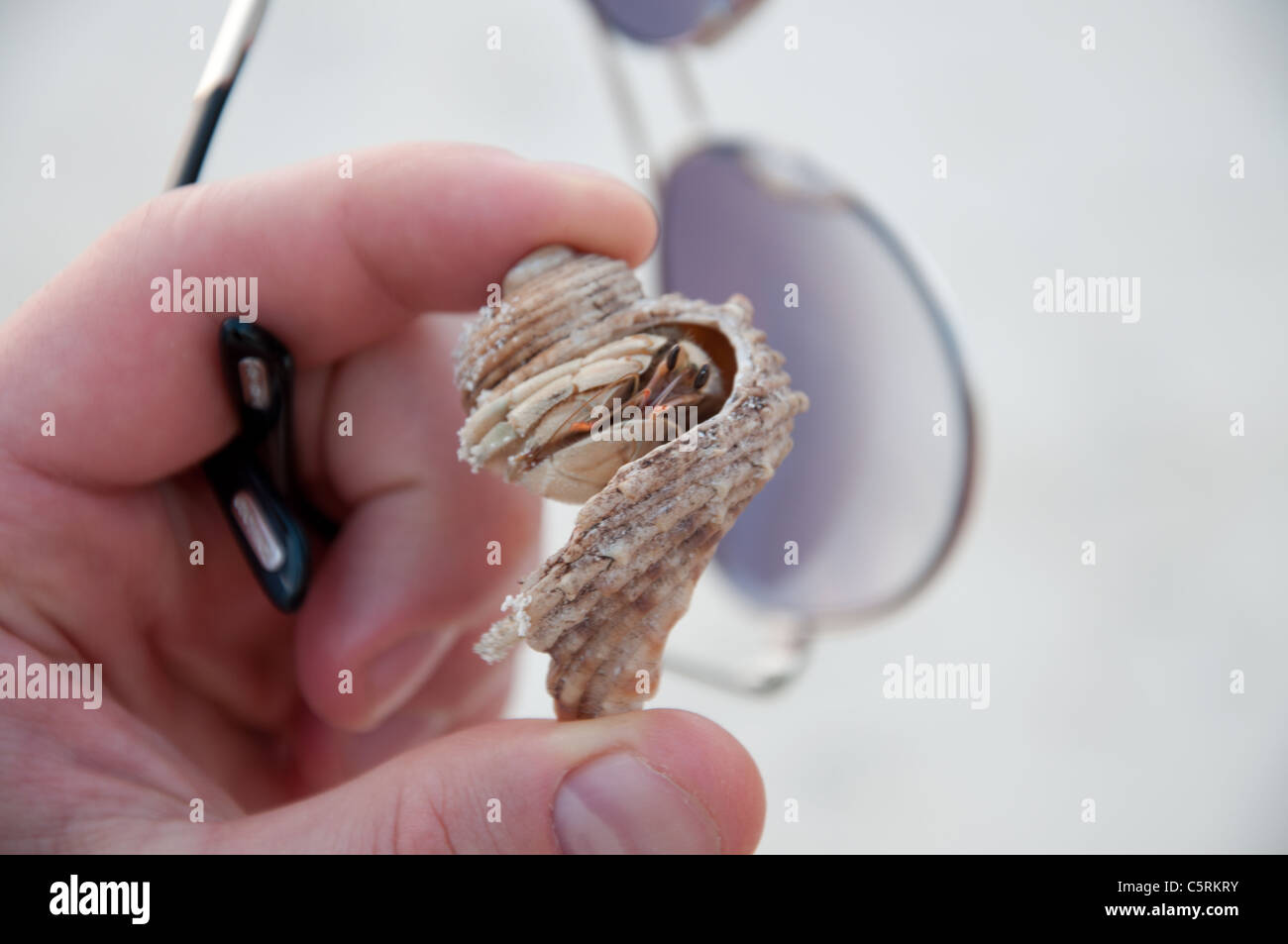 Person with shell hi-res stock photography and images - Alamy