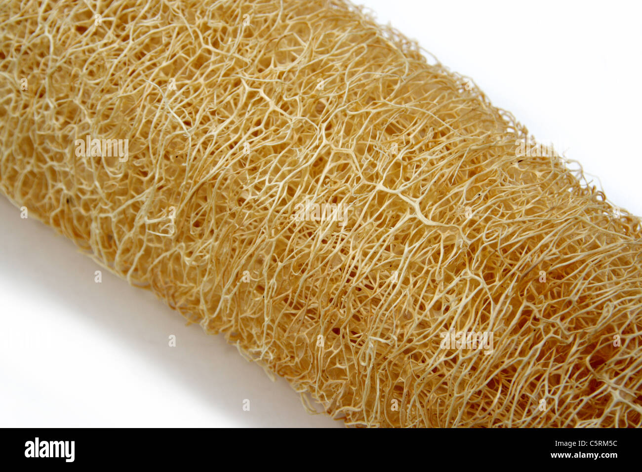 Dried, natural luffa Stock Photo - Alamy