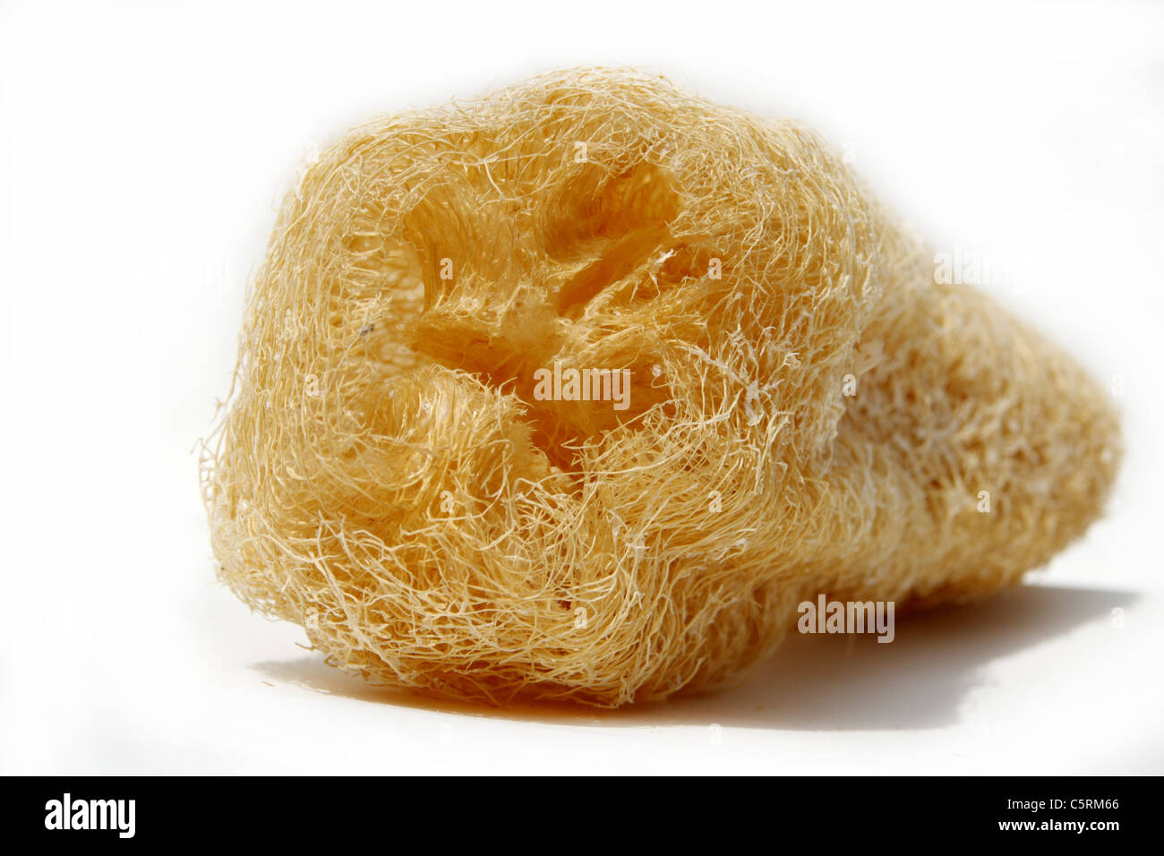 Dried, natural luffa Stock Photo - Alamy
