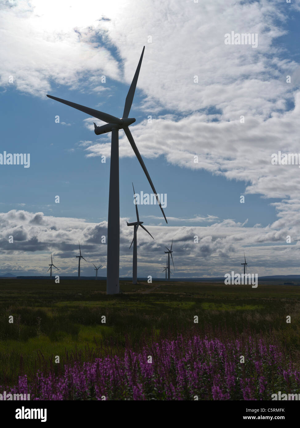 Renewables bad hi-res stock photography and images - Alamy