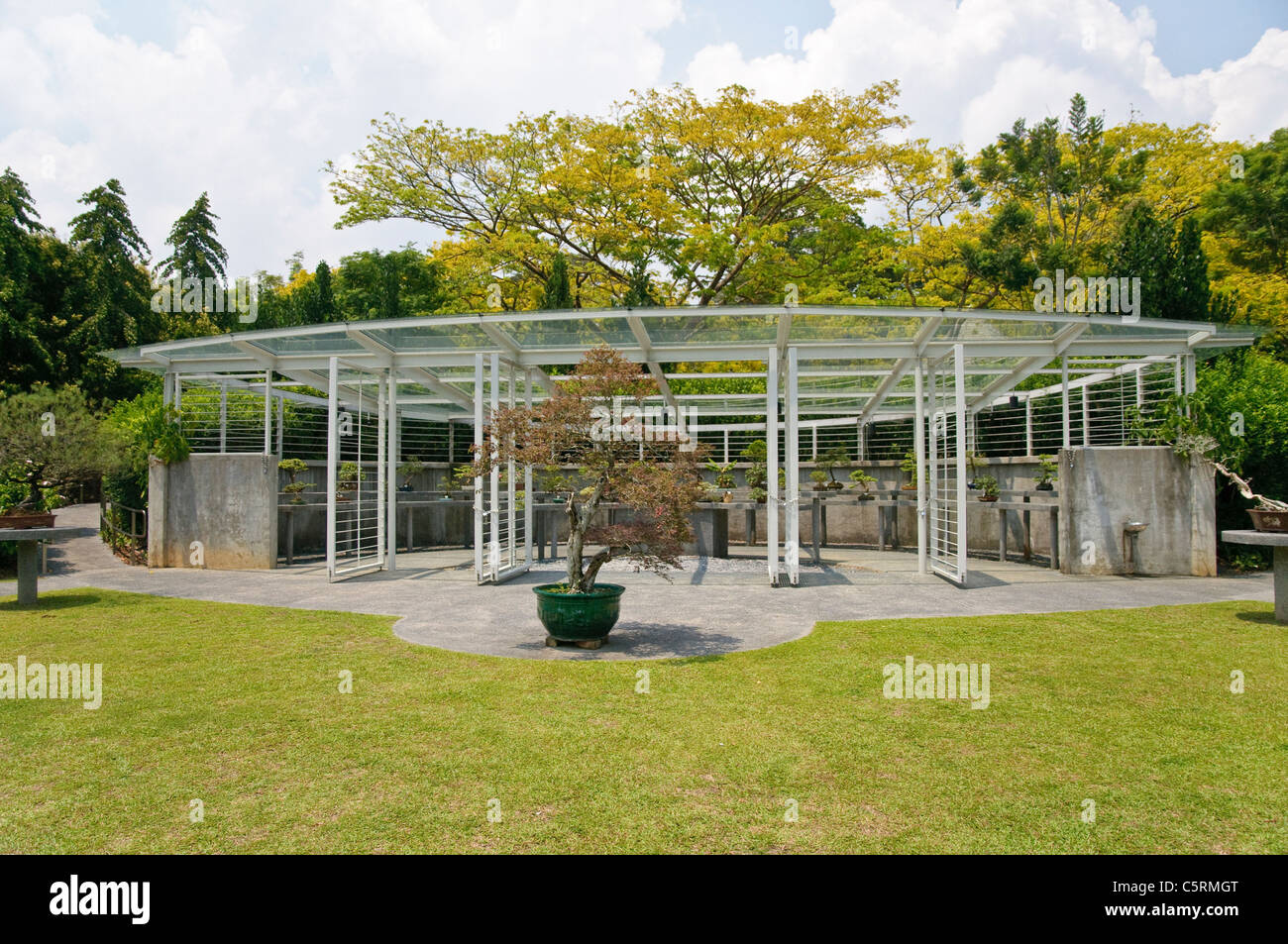 Bonsai tree exhibition, Singapore Botanic Gardens, Singapore, Southeast ...
