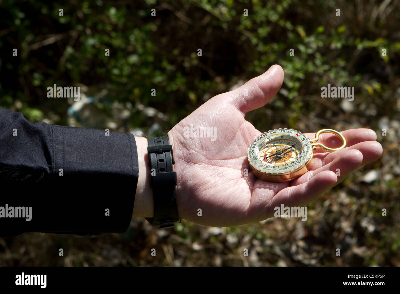 Compass needle pointing north hi-res stock photography and images - Alamy