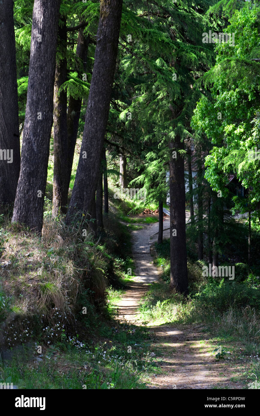 Dark shade path paths pathway hi-res stock photography and images - Alamy