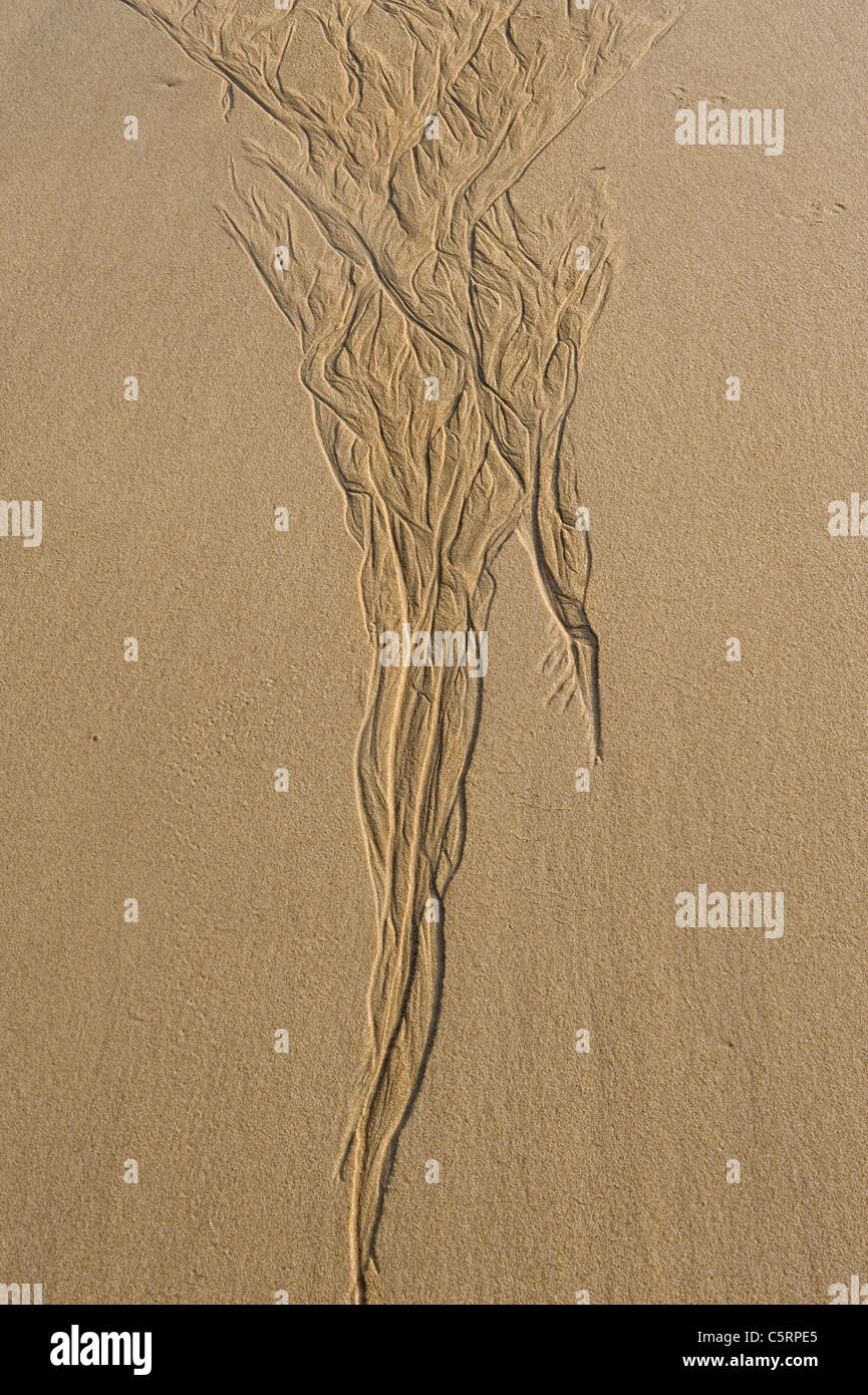 Water trace on beach hi-res stock photography and images - Alamy