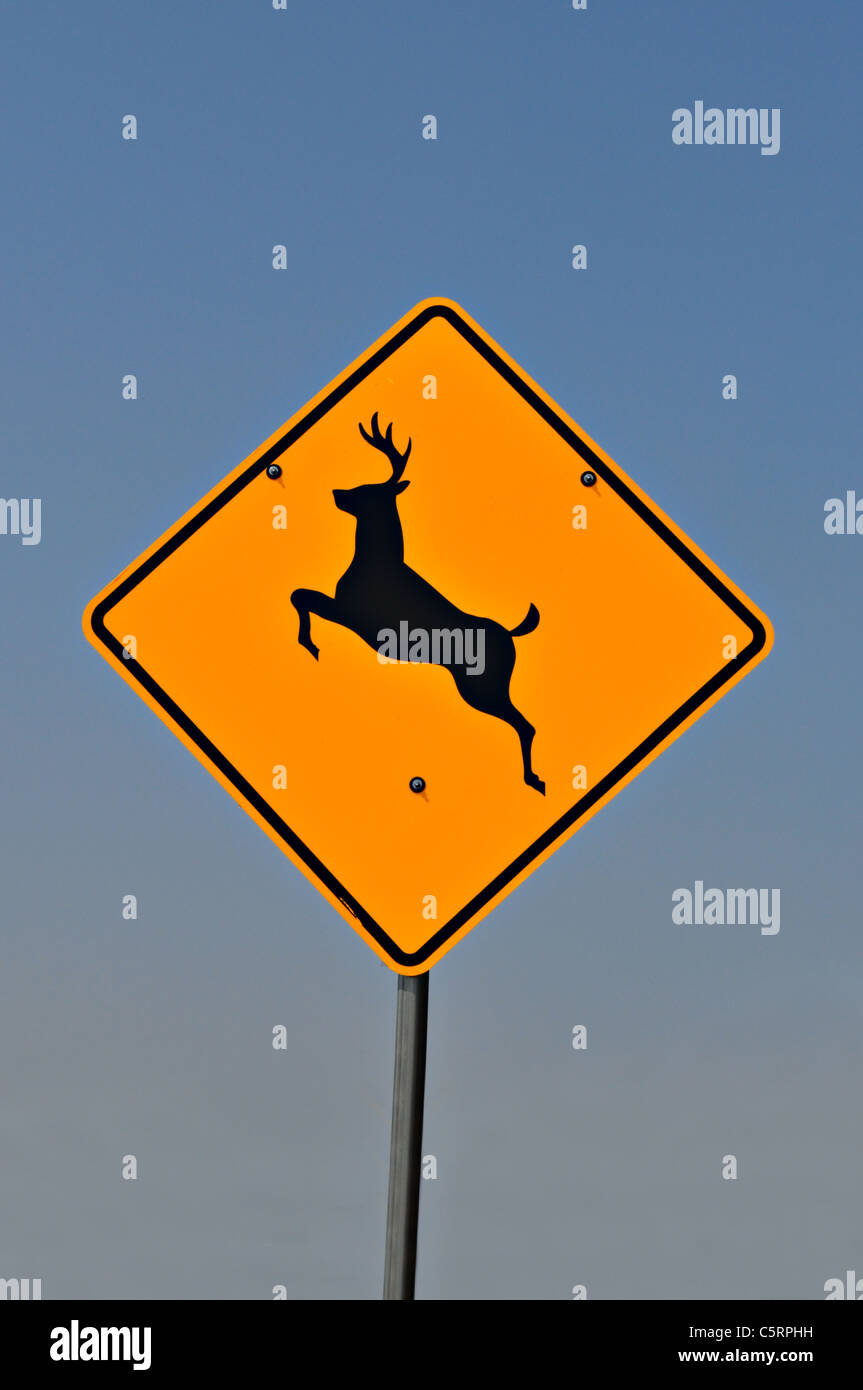 Deer warning sign hi-res stock photography and images - Alamy