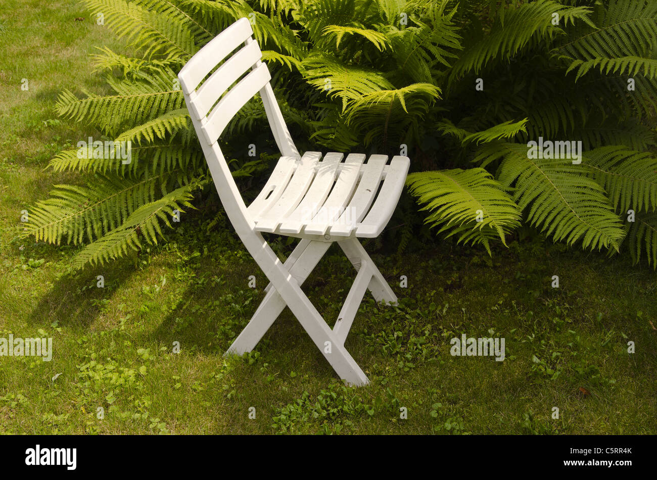 Resting place. White chair standing near fern bushes Stock Photo - Alamy