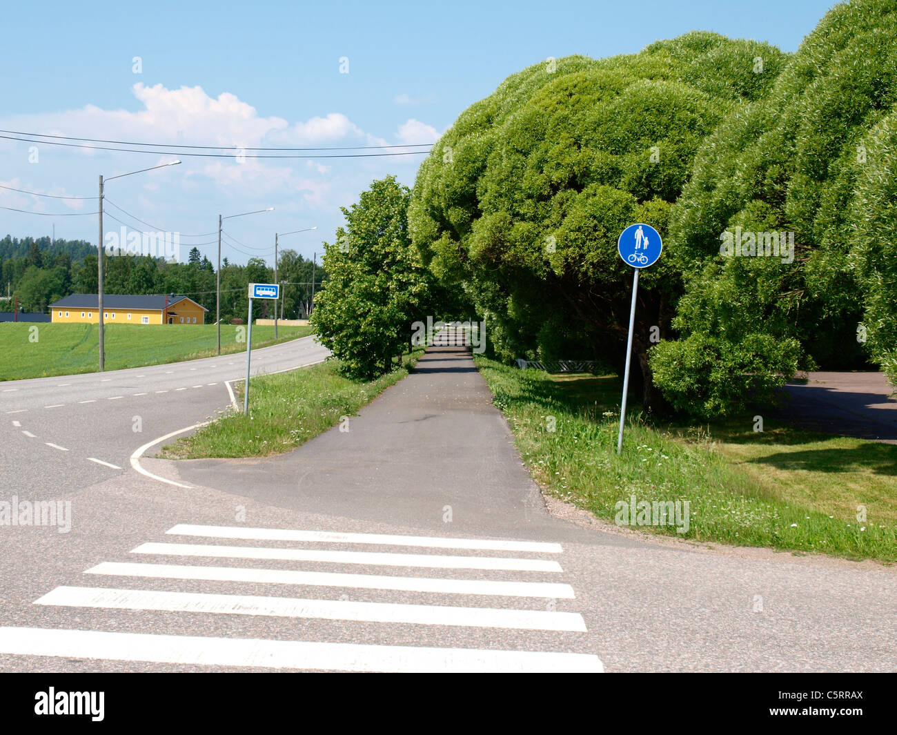 The bicycle path in Finland Stock Photo - Alamy