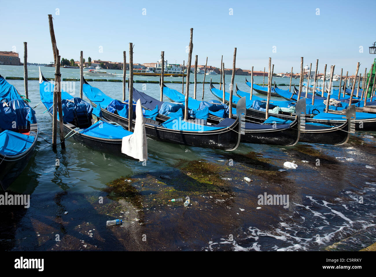 Venice Italy Grand Canal with a line of blue covered Gondolas moored in ...