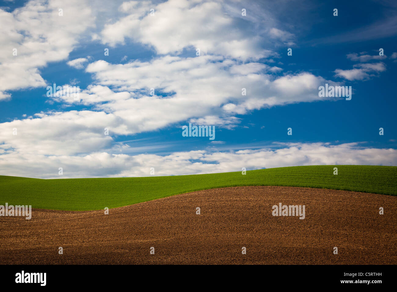Landscape in the Palouse agricultural area of eastern Washington state ...