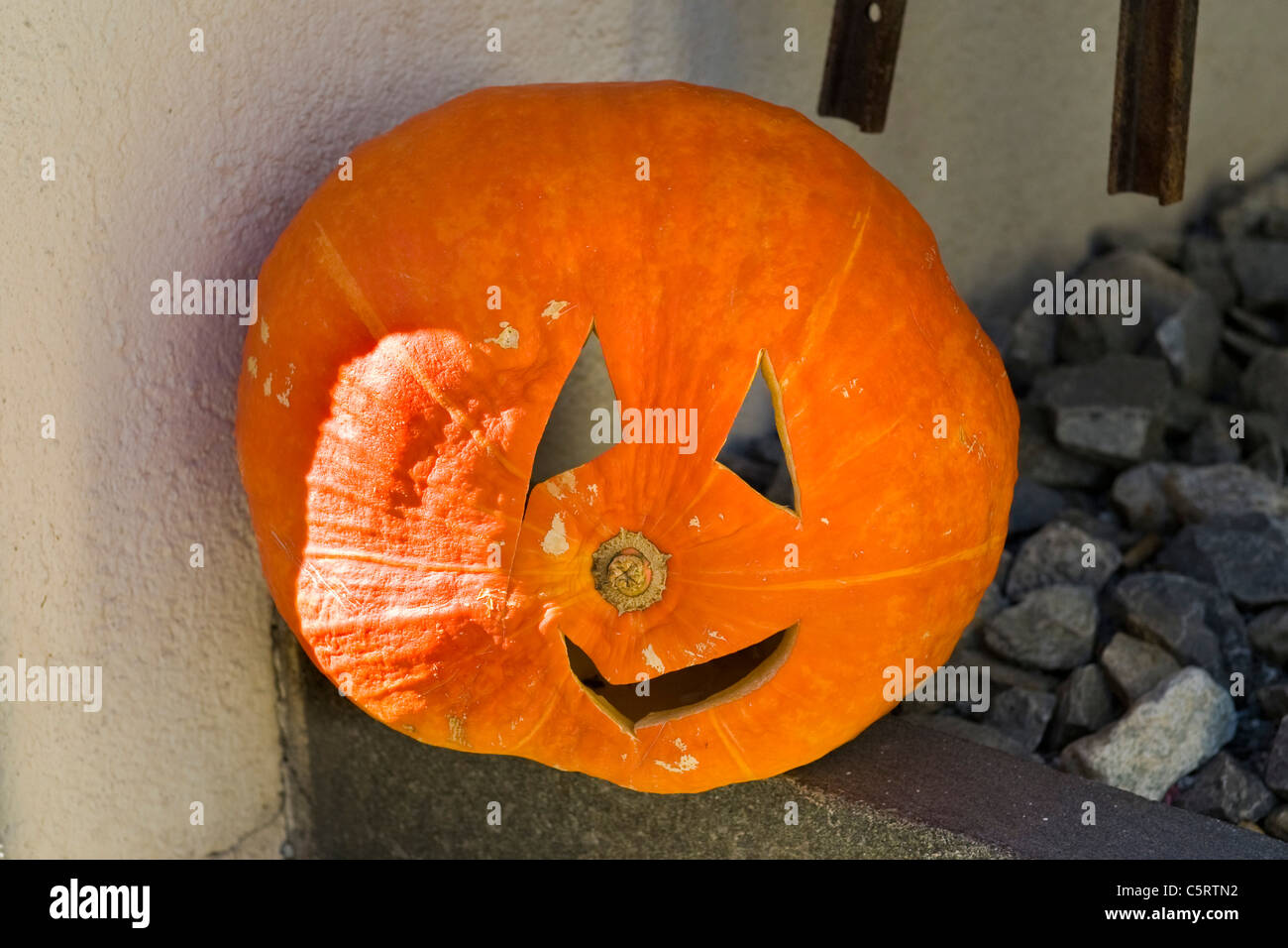 Marrow squash and pumpkin hi-res stock photography and images - Alamy