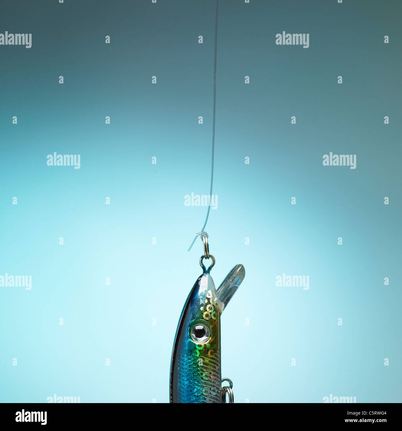 Close up shot fishing hi-res stock photography and images - Alamy