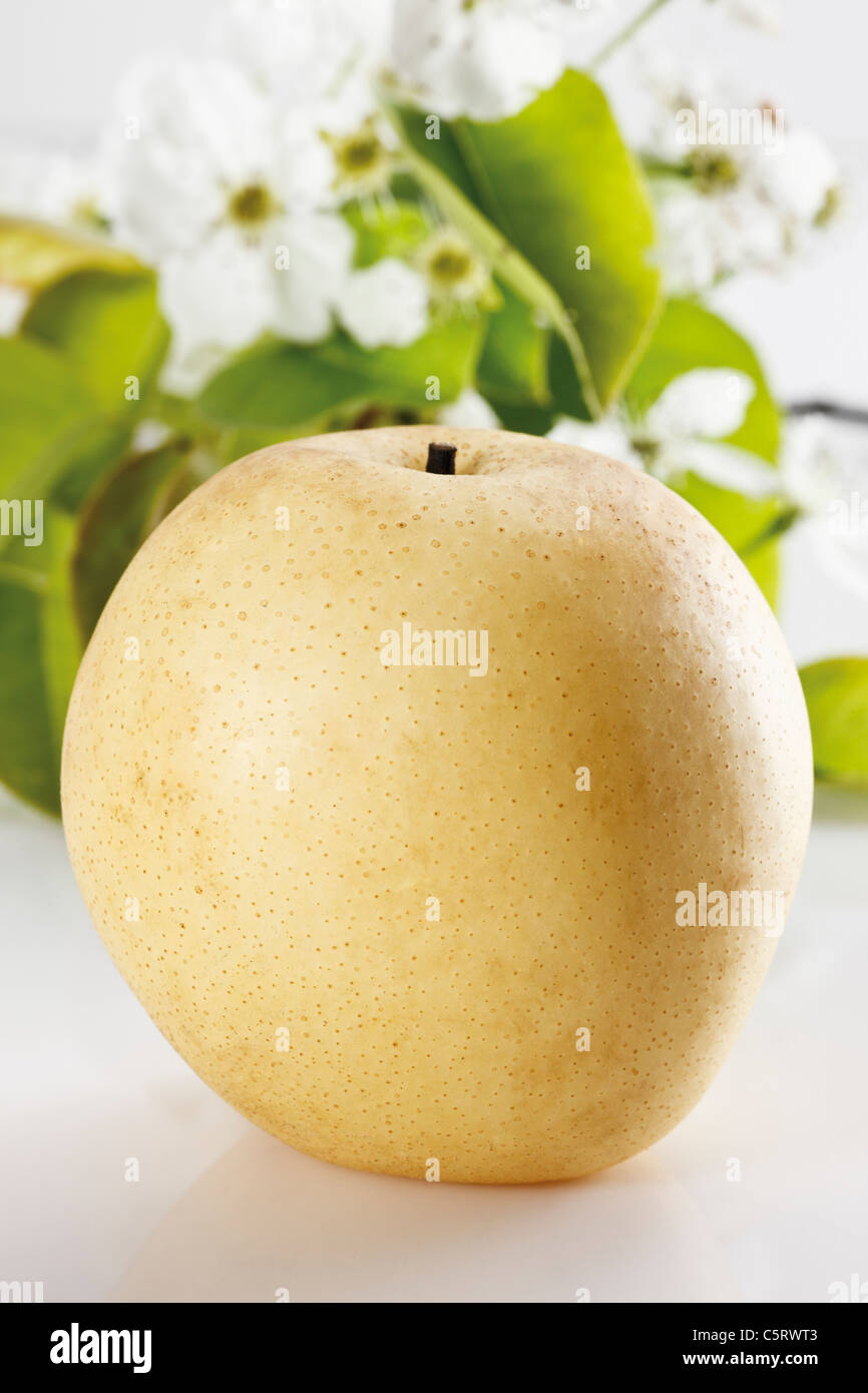 Nashi pear hi-res stock photography and images - Alamy