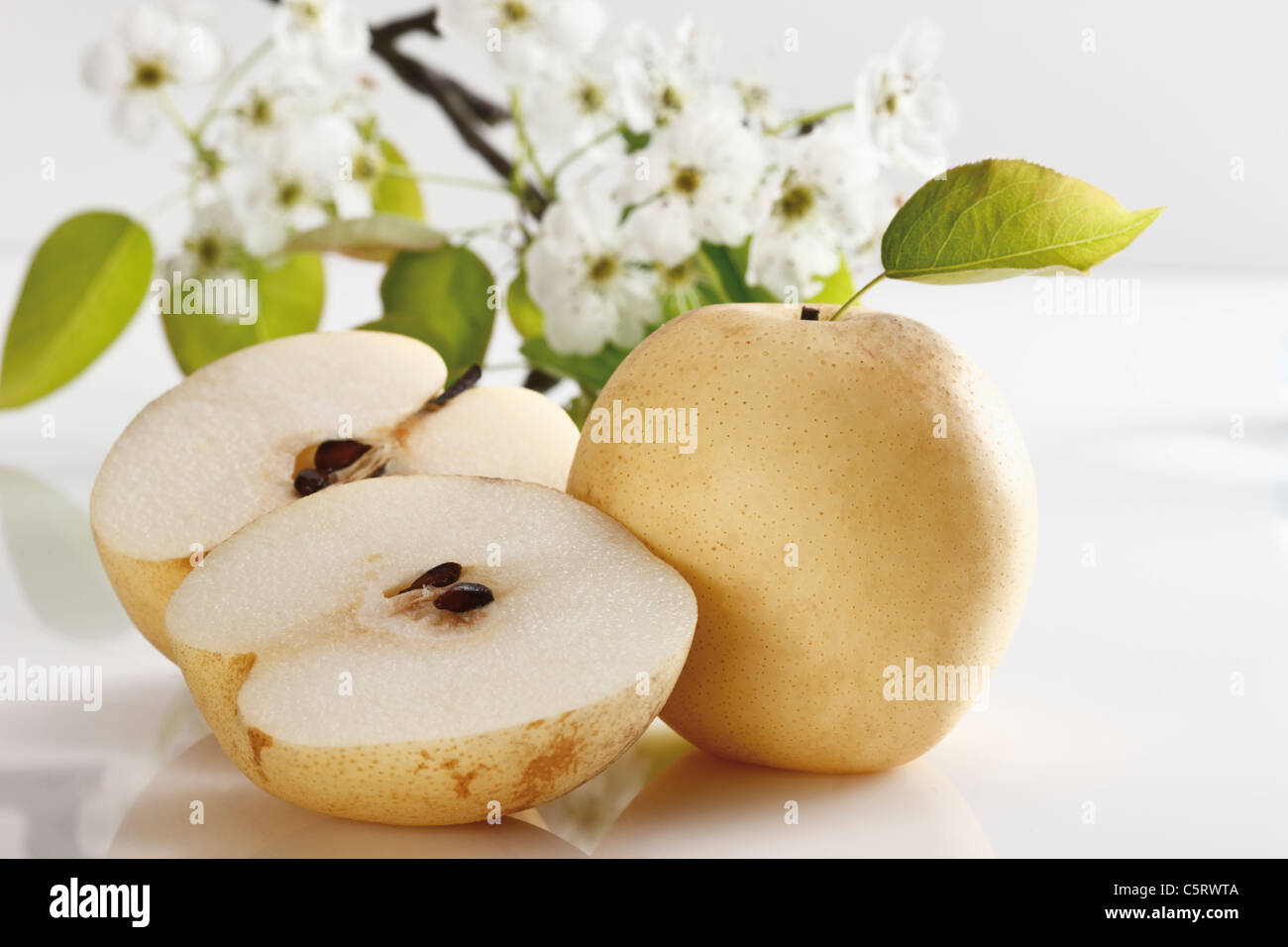 Nashi flower hi-res stock photography and images - Alamy