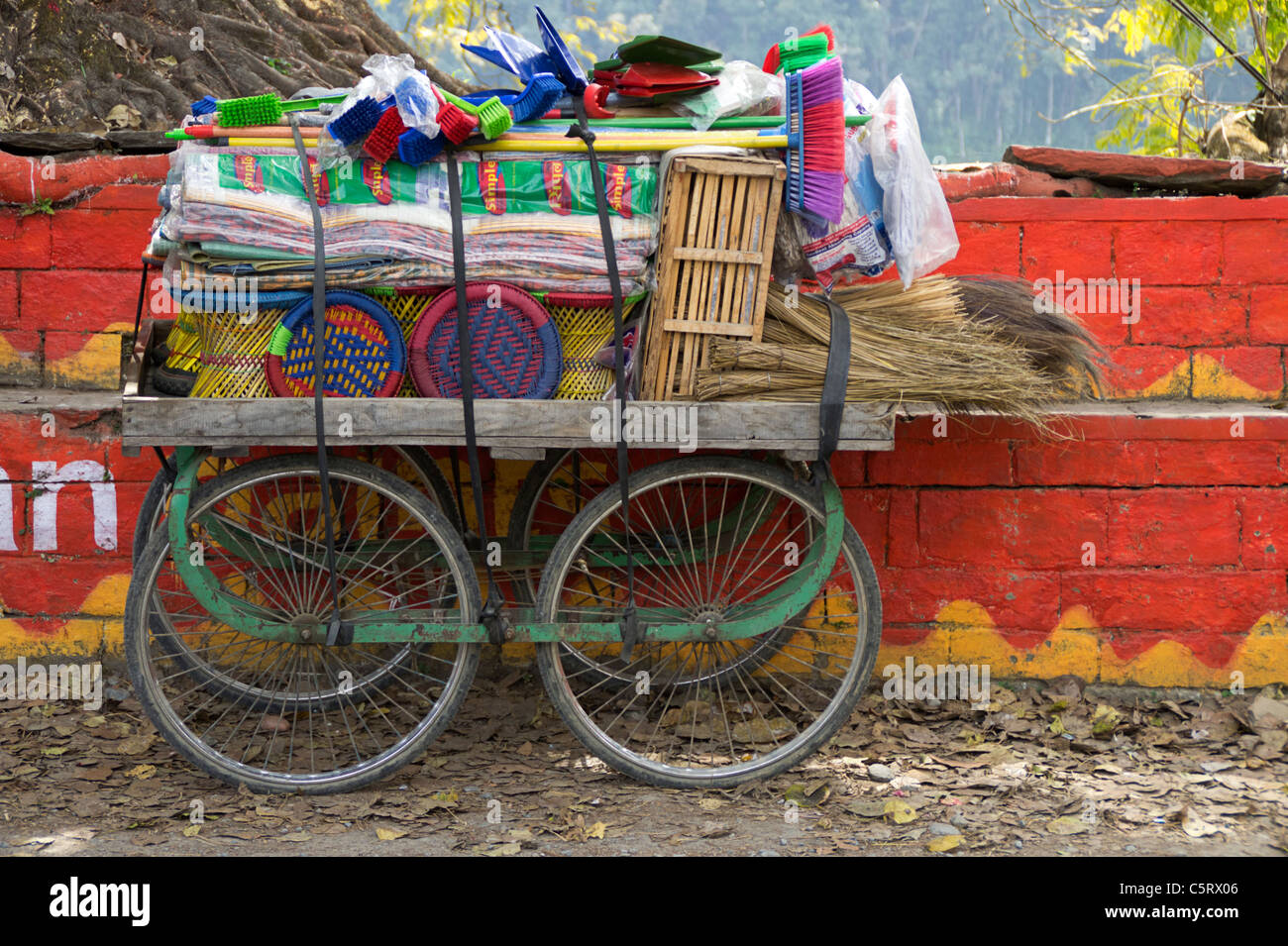 Small carriage with all kinds of cleansing attributes, Pokhara, Western ...