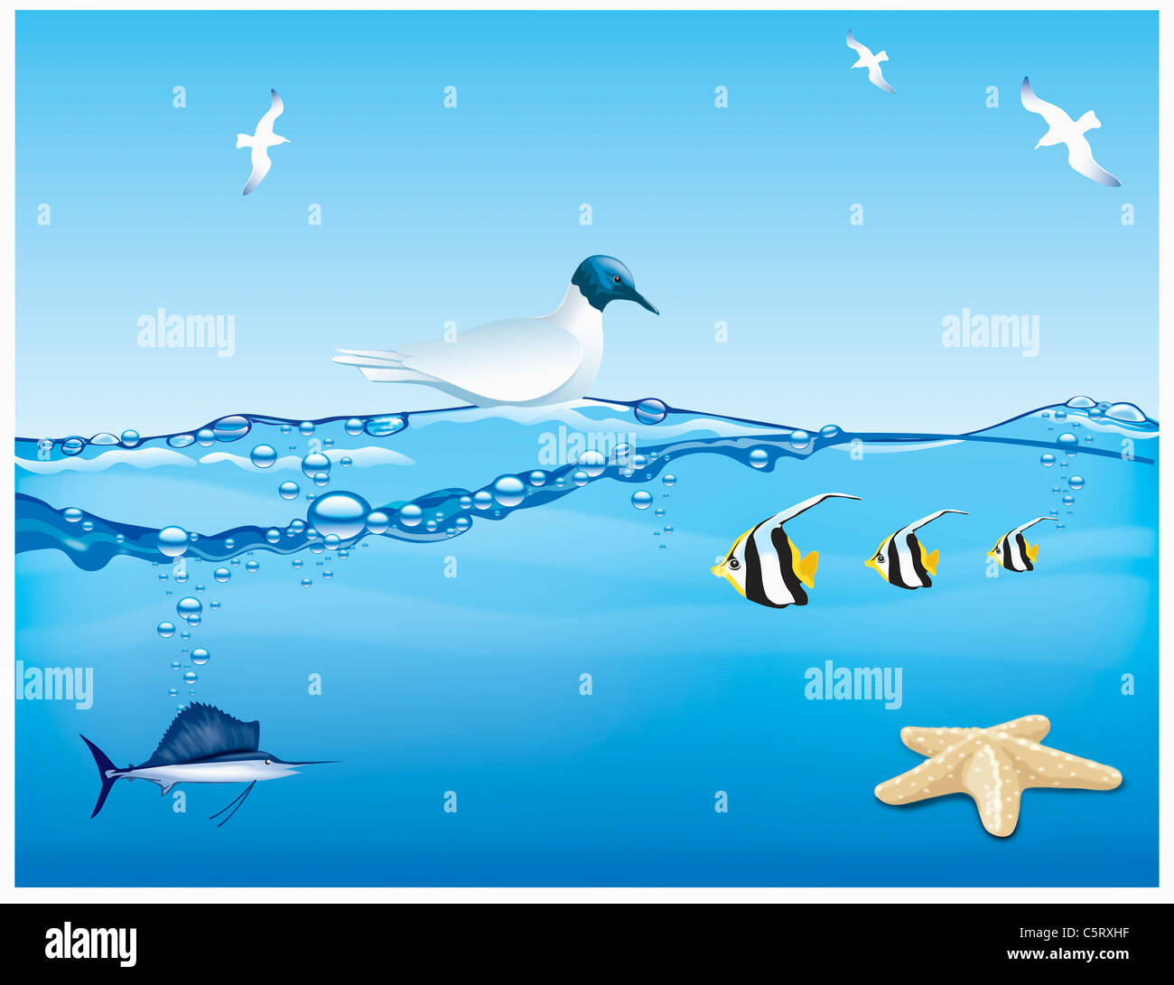 Tid icon hi-res stock photography and images - Alamy