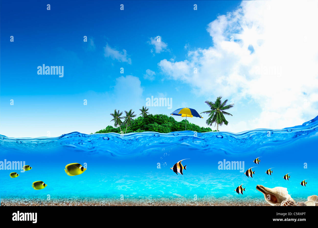 fishes swimming in summer beach Stock Photo - Alamy