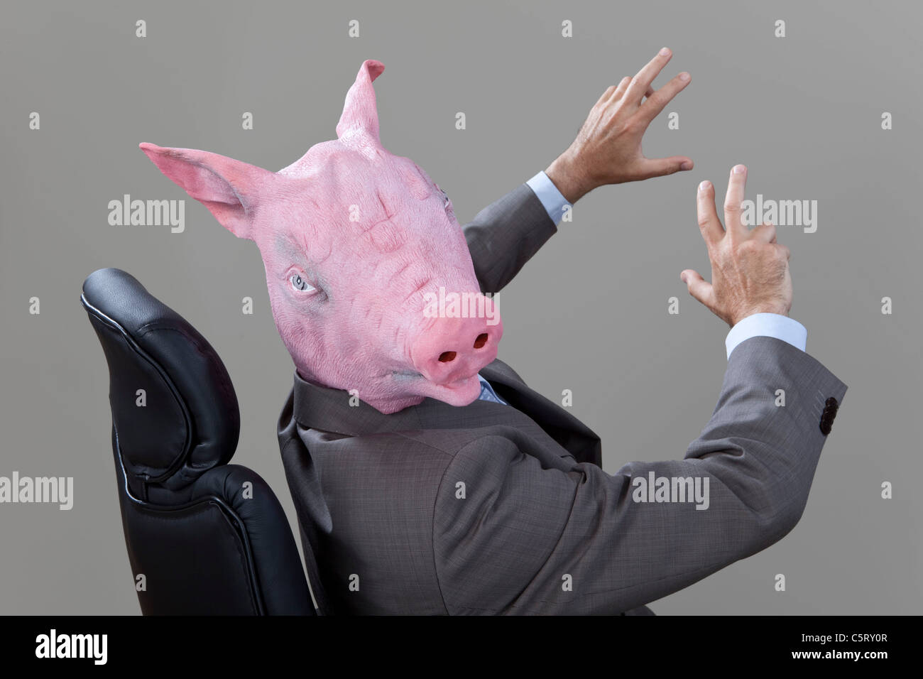 Discussion pigs hi-res stock photography and images - Alamy