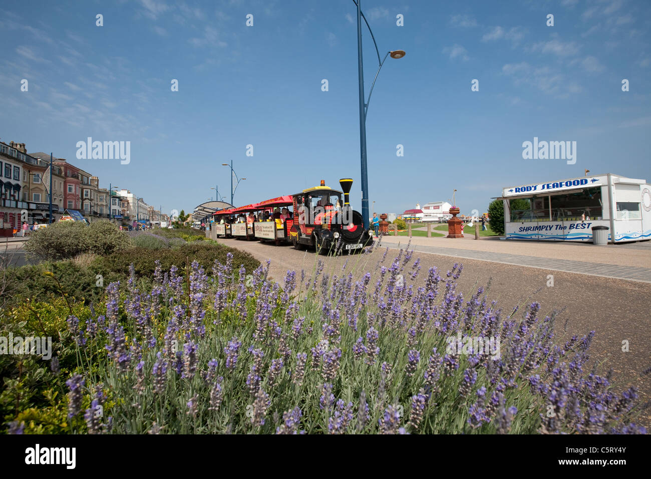 Seaside Train Stock Photos & Seaside Train Stock Images - Alamy