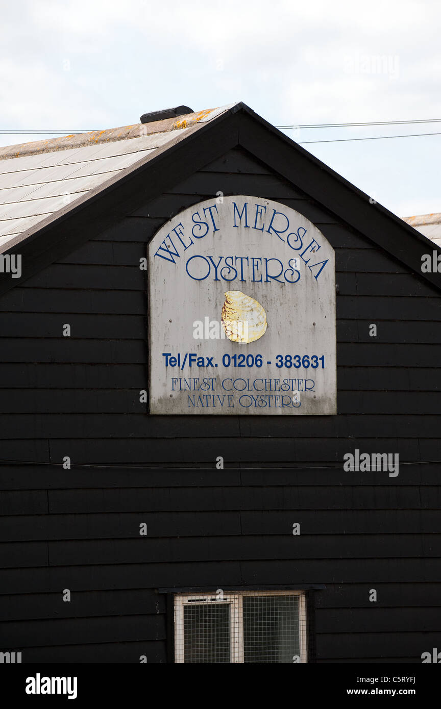 A sign for the West Mersea Oyster Company Stock Photo - Alamy