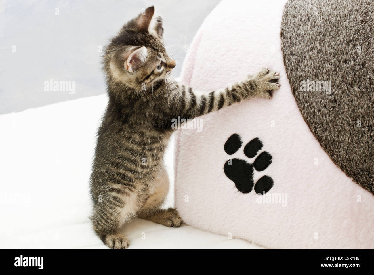 Domestic footprint hi-res stock photography and images - Alamy